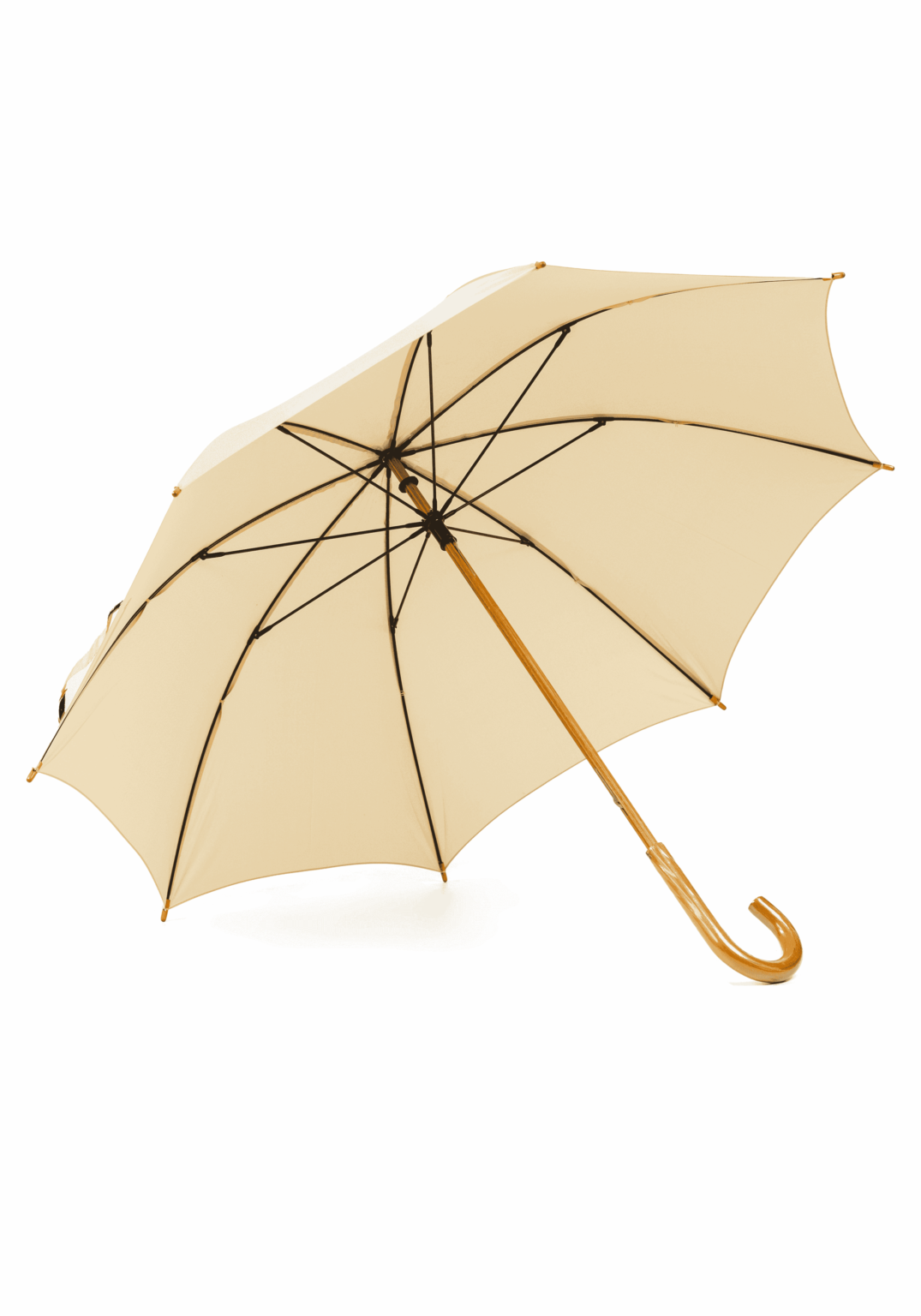 Zeelyne Sri Lanka - Wholesale Golf Umbrella Supplier